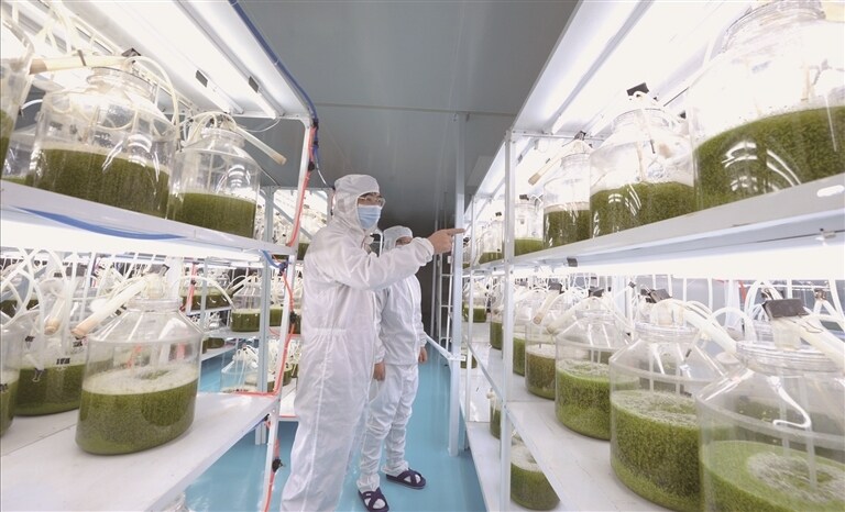 细胞工厂图片,工作细胞图片(第4页)_大山谷图库